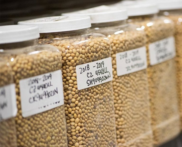 Learn More About Our Company & What We Do | Mid-State Seed